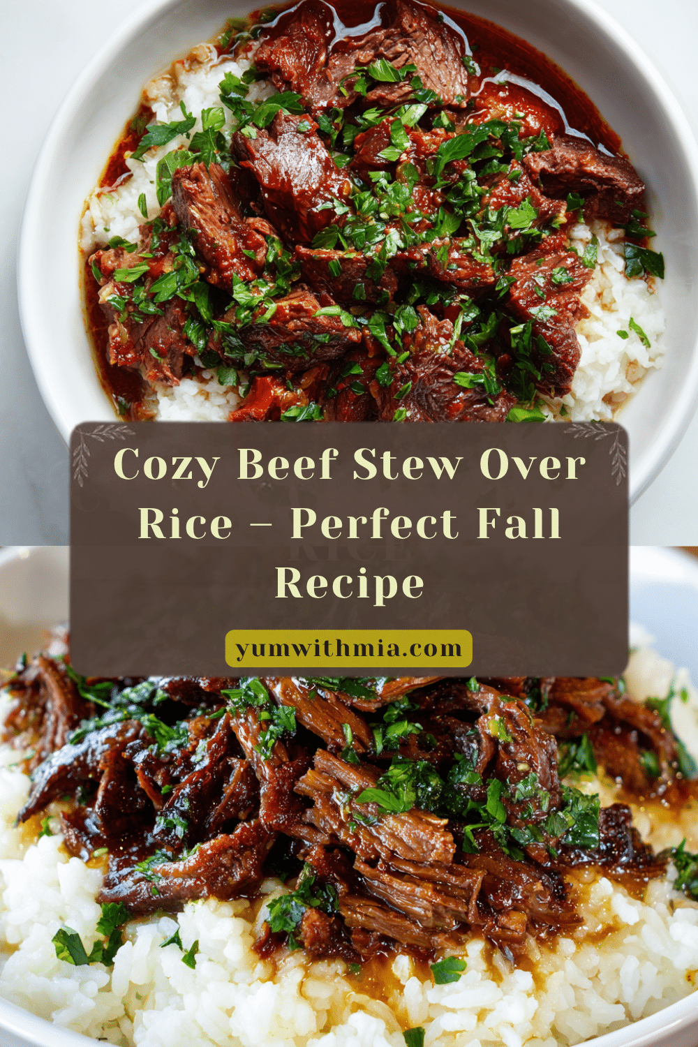 Stew Beef and Rice Recipe: Comforting and Hearty Delight